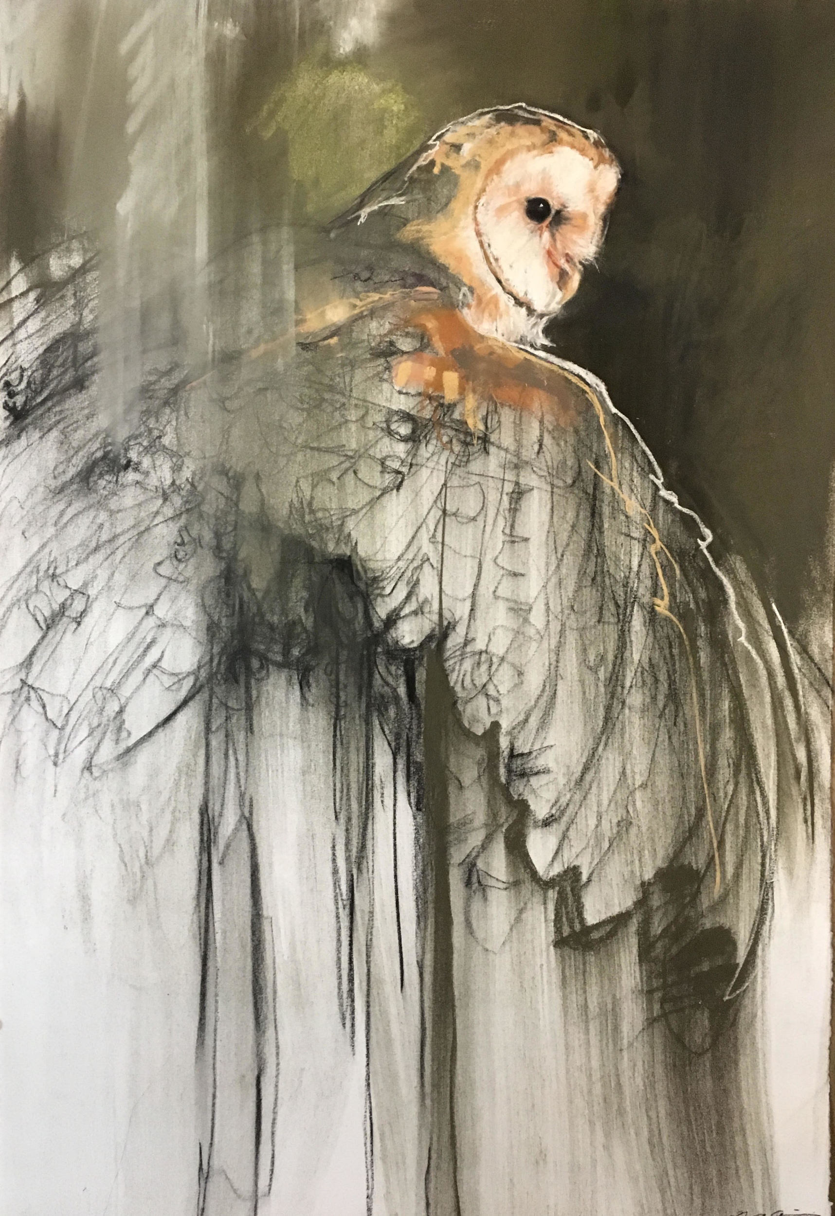 Imogen Gallery : Painters & Print Makers : April Coppini