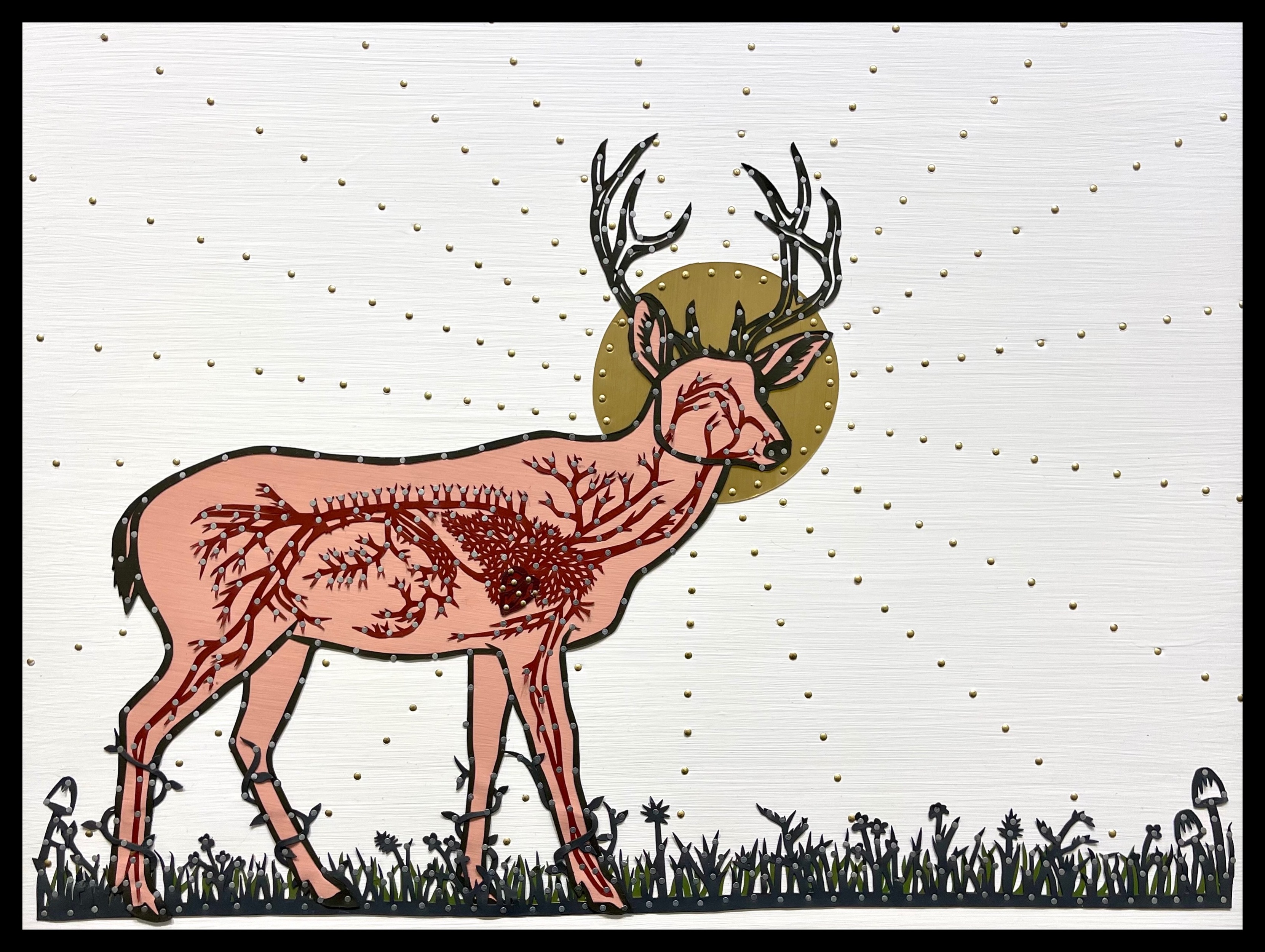 Imogen Gallery : Painters & Print Makers : Kim Hamblin