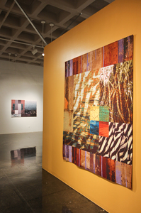 Michael James Studio Quilts : In situ