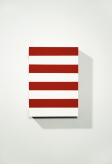 Richard Roth : Paintings 2006 - 2011