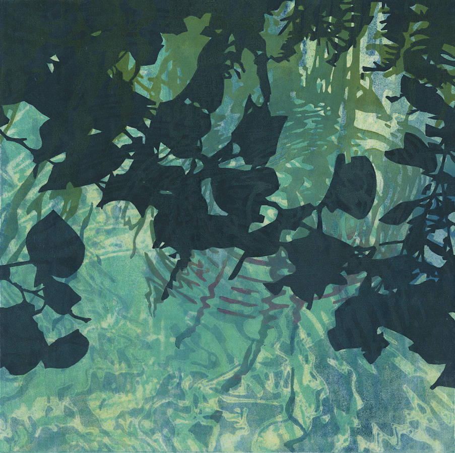 Wendy Ketchum : Pond Series Prints