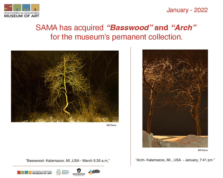 Bill Davis : Visiting Artist Spotlight