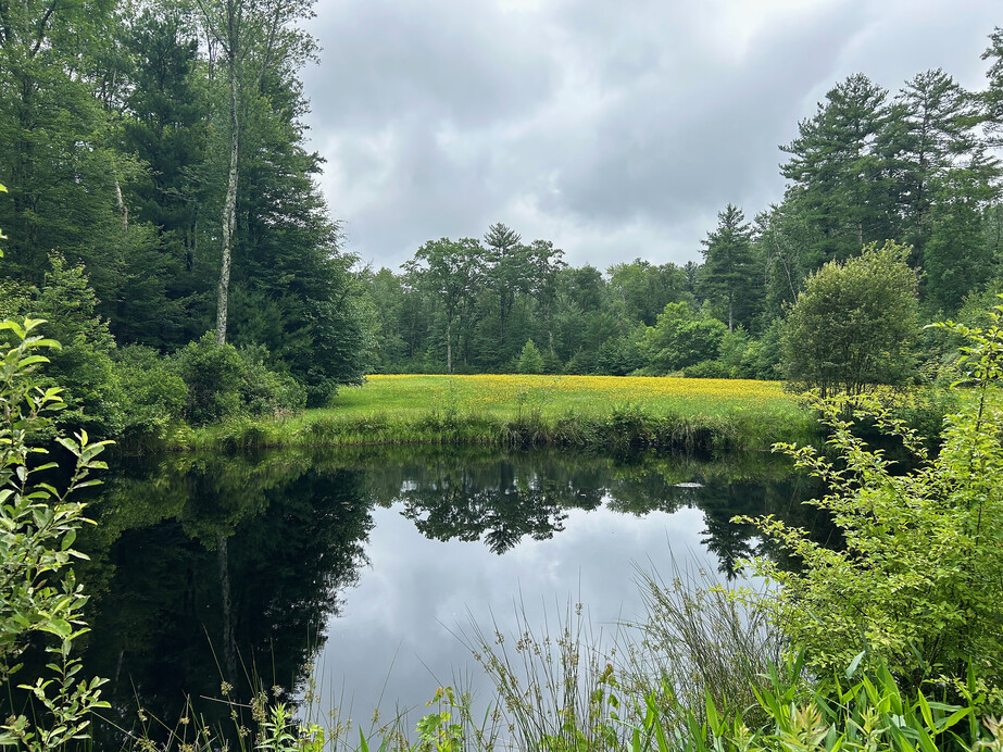 BLACK POND STUDIO : PHOTOS