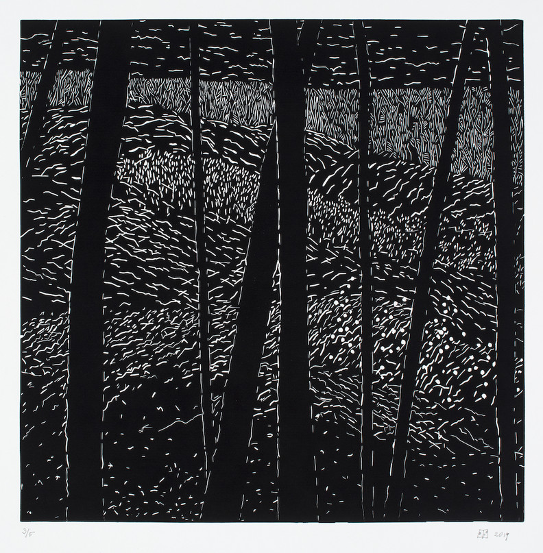 David Swetland : Statement