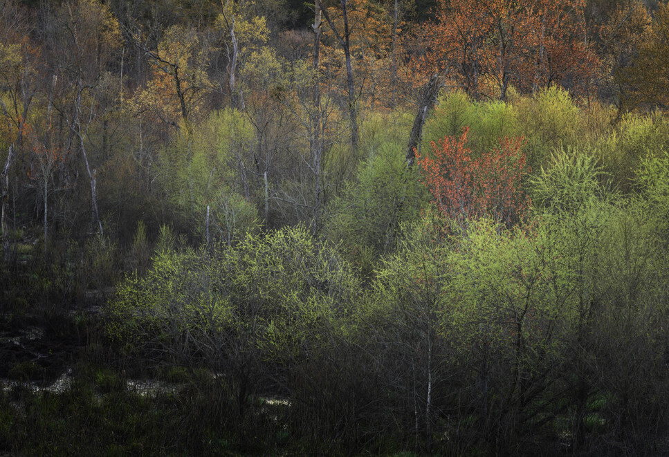 Jon Meyer Photographic Art : The Medieval Dance of Death