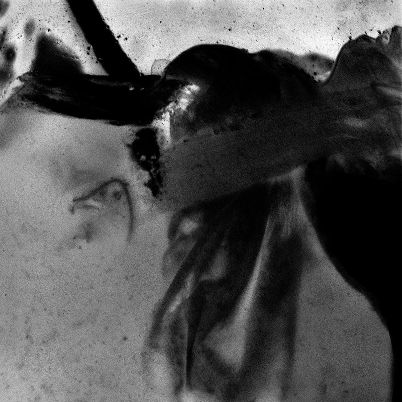 Odeth Reinoso : Mixed Media Work