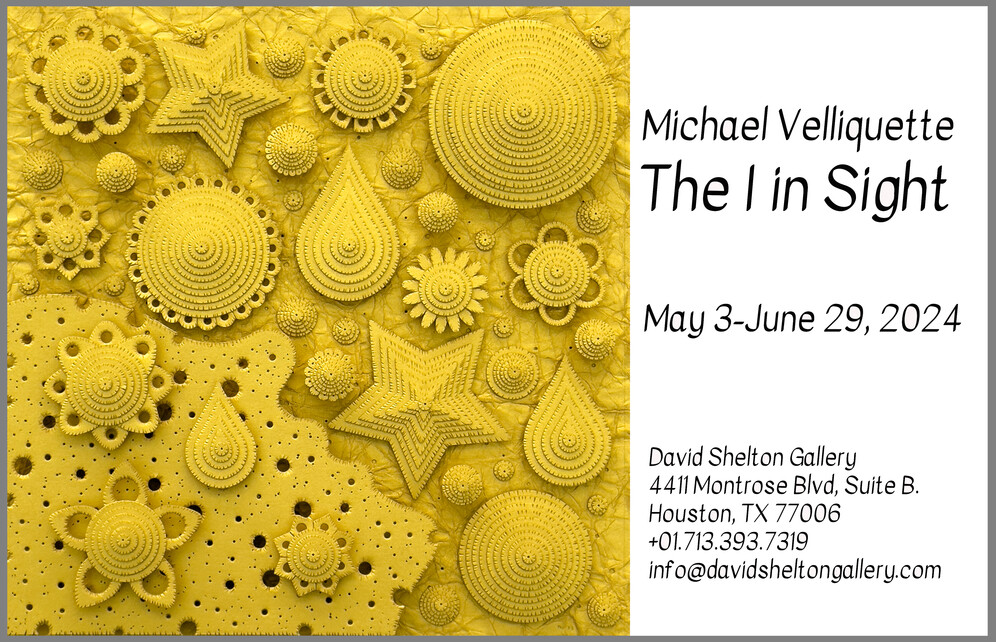 MICHAEL VELLIQUETTE: Artist & Paper Sculptor : Paper Sculpture