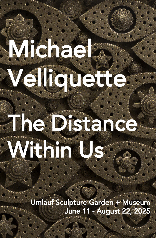 MICHAEL VELLIQUETTE: Artist & Paper Sculptor